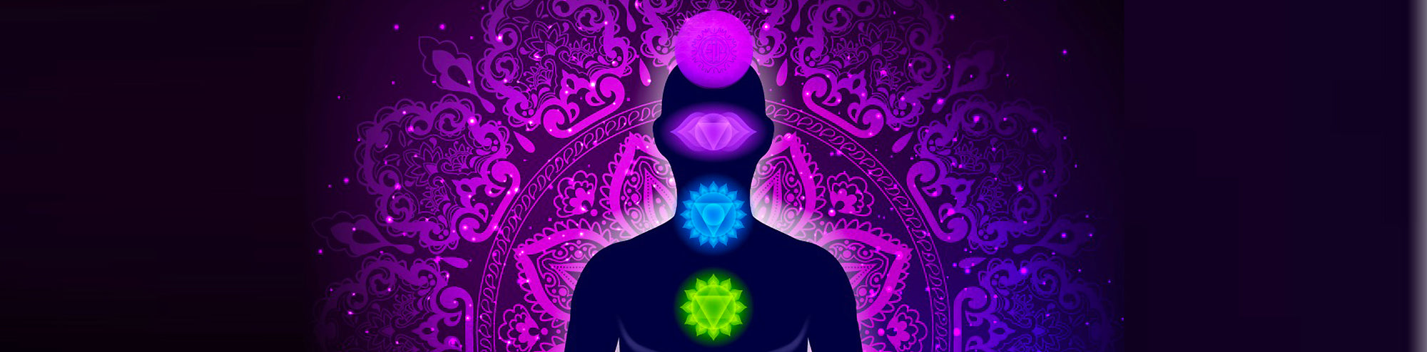 Tesla Purple Plates – Purpleplates.com