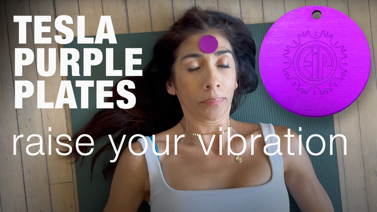 Tesla Purple Energy Plates – Purpleplates.com
